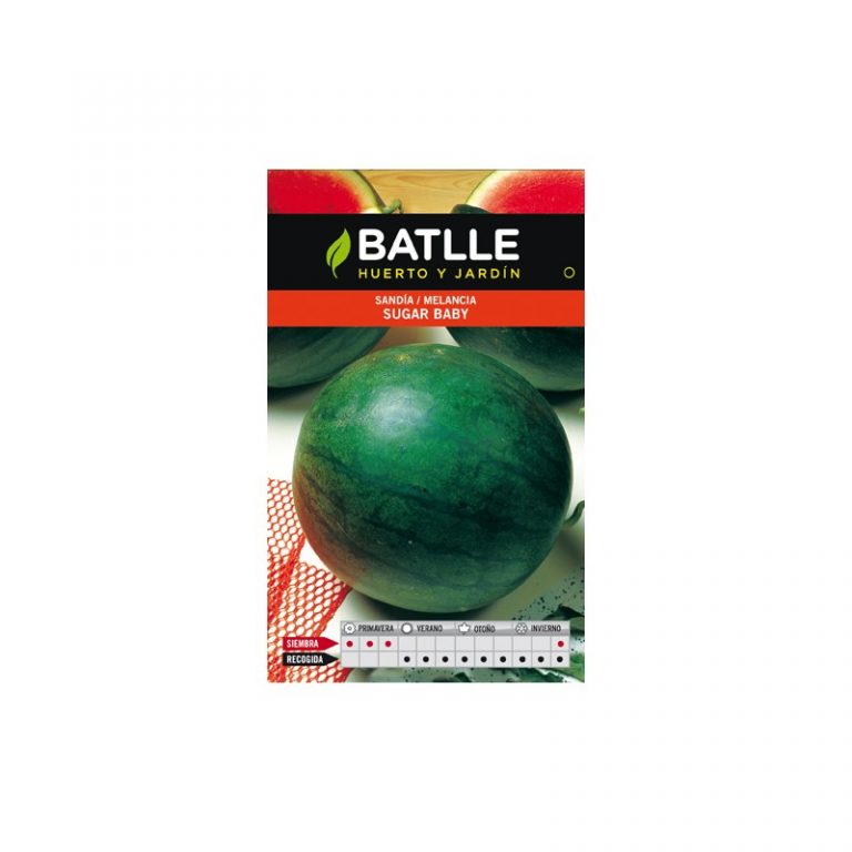 Sandía Sugar baby | Jardinedia