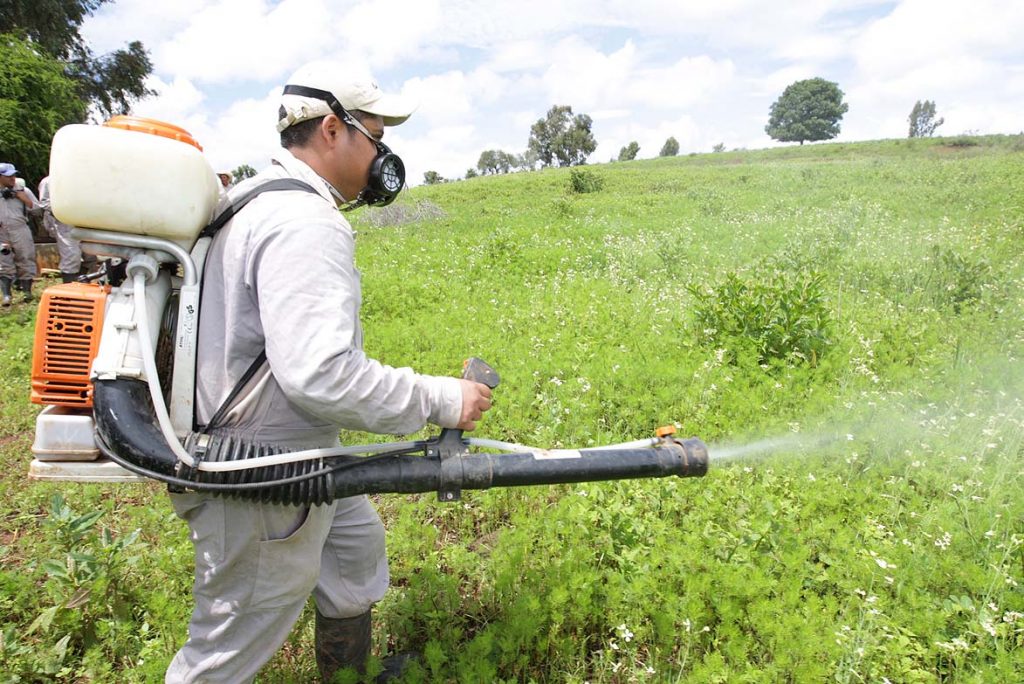 Todo lo que necesitas saber sobre el manejo de insecticidas