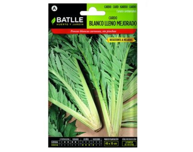 Cardo blanco lleno mejorado - Jardinedia - Batlle