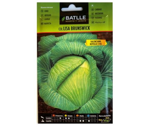 Col Brunswick (Valenciana) | Jardinedia