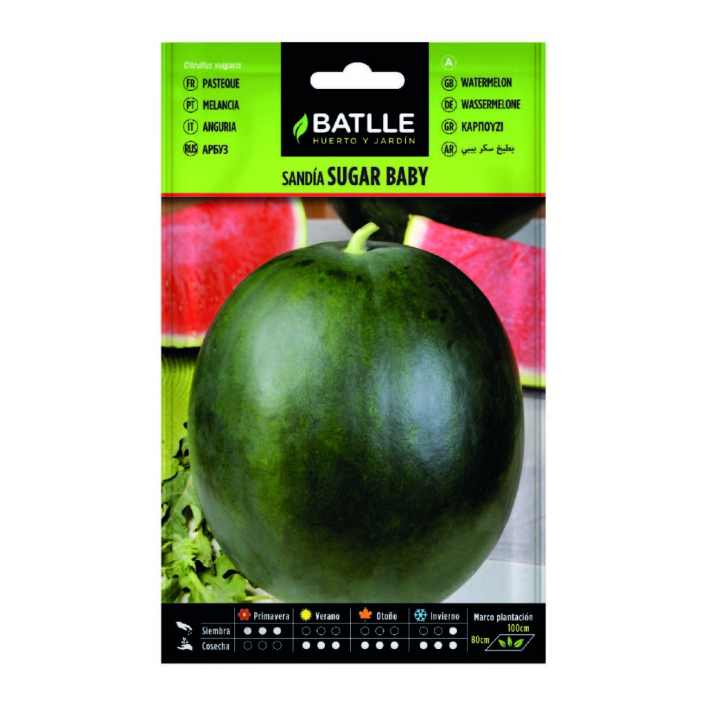 Sandía Sugar baby | Jardinedia
