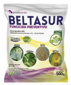 ¿Cómo acabar con el Mildiu en la patata? | Jardinedia