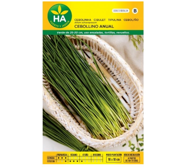 Cebollino Anual | Jardinedia