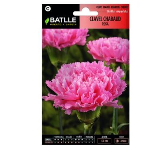 Clavel Chabaud Rosa | Jardinedia