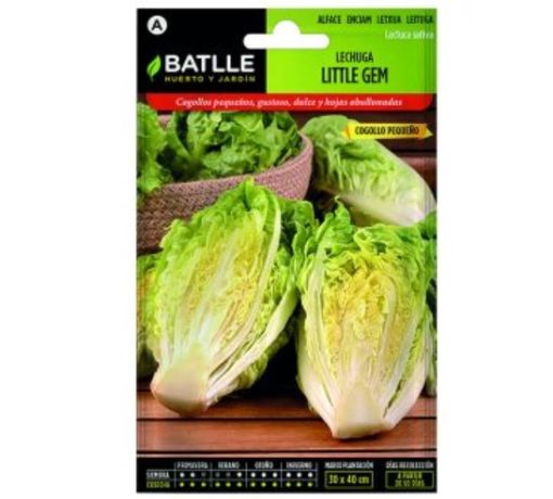 Lechuga Little Gem Cogollo Pequeño | Jardinedia