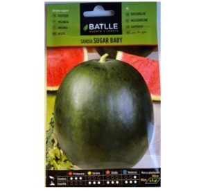 Sandía Sugar baby | Jardinedia