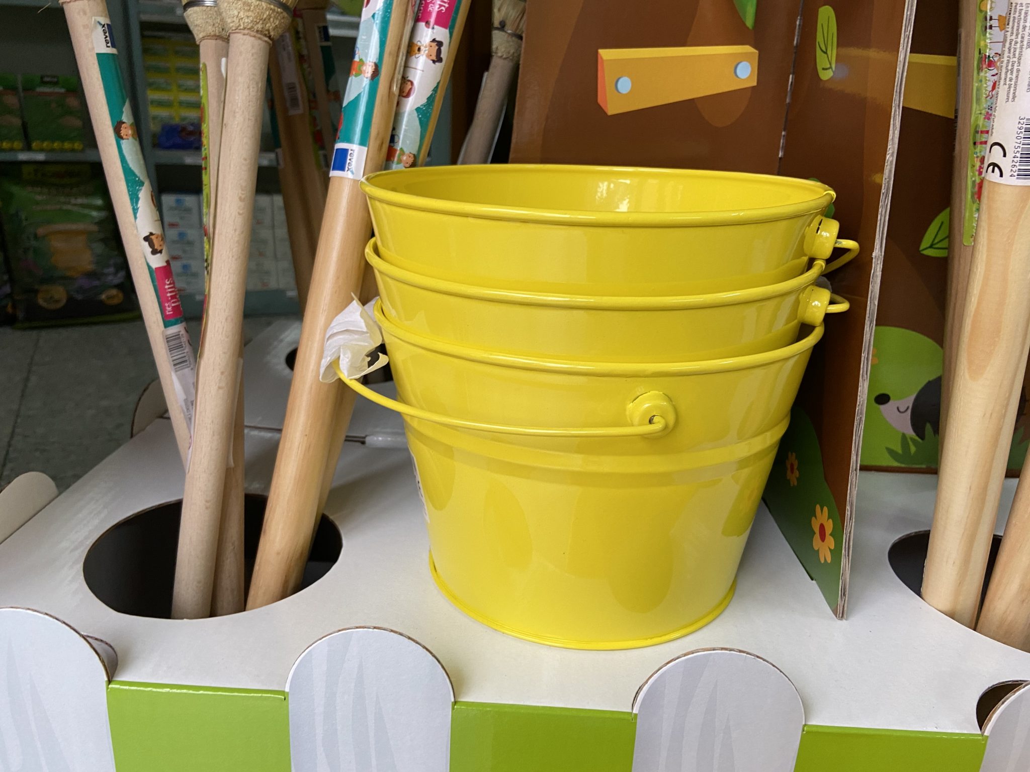 Cubo Amarillo Júnior | Jardinedia