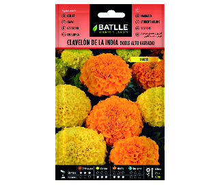 Clavelon De La India Doble Alto Variado | Jardinedia