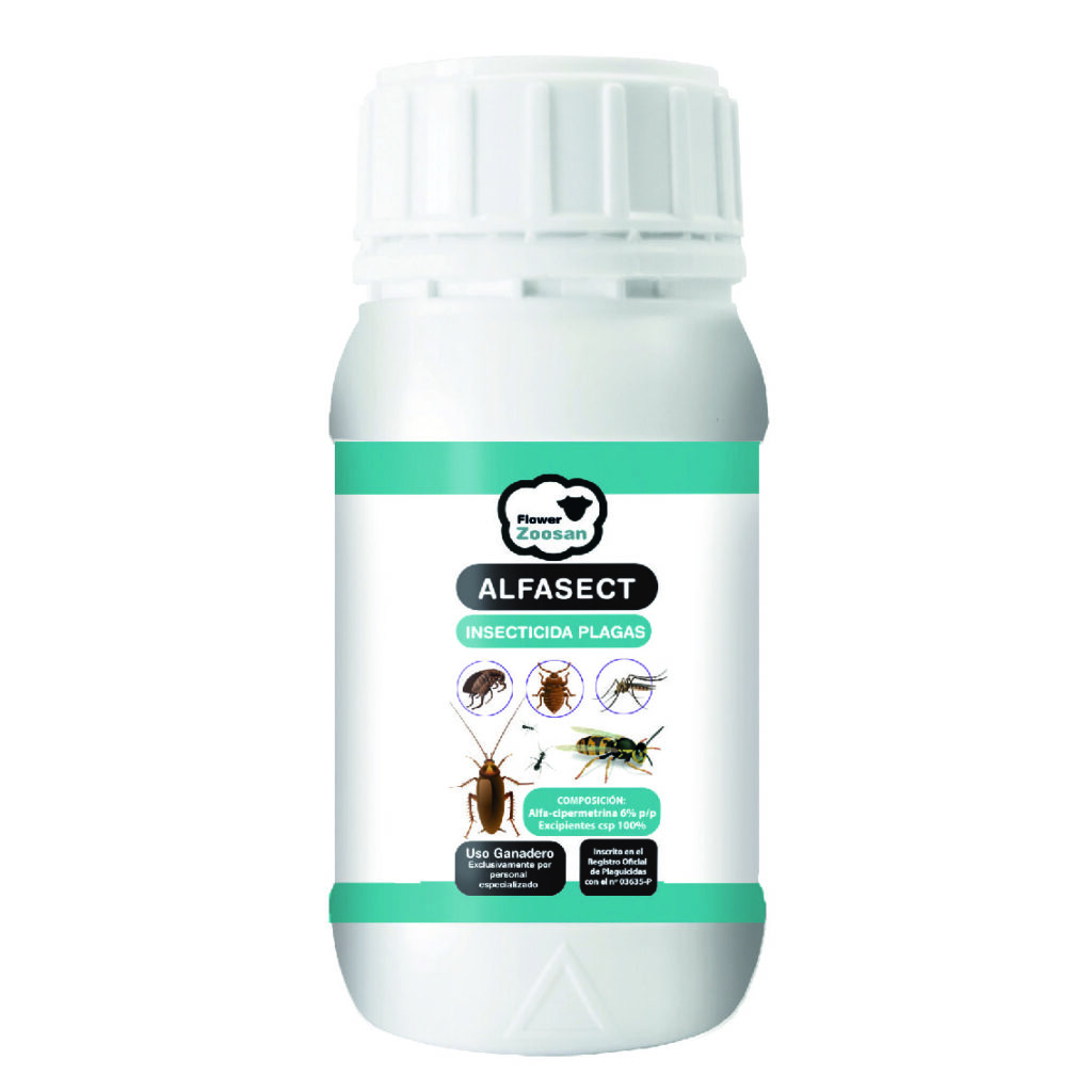 Veneno para ratas y ratones | Raticidas: que son, tipos y cuál es el ...