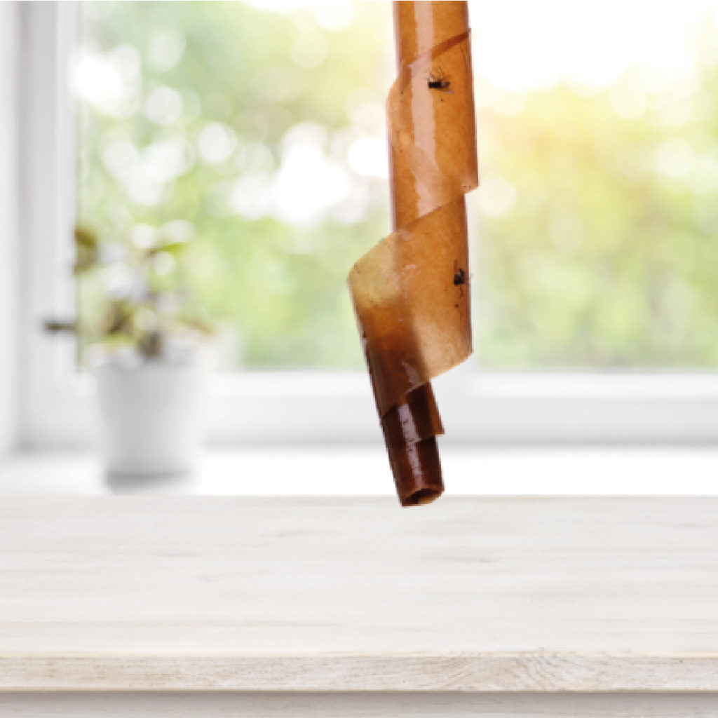 TRAMPA ADHESIVA TIRAS ATRAPA INSECTOS 4u | Jardinedia