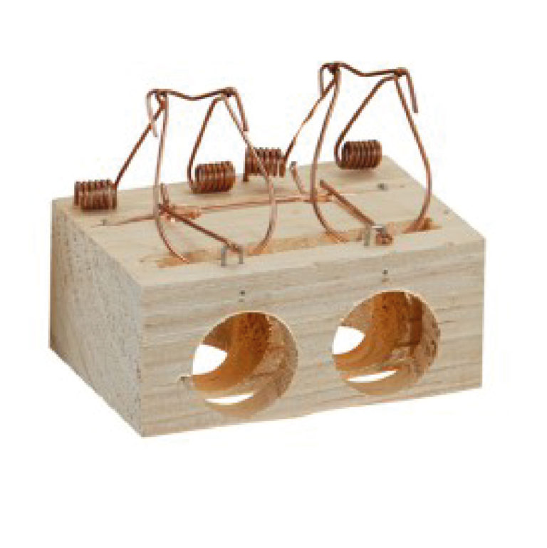 RATERA MADERA MEDIANA 1u | Jardinedia